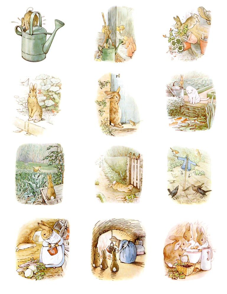 Illustrations from The Tale of Peter Rabbit by Beatrix Potter ...